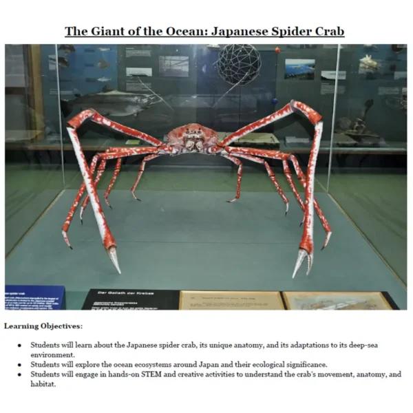 Custom Curriculum in Extraordinary Animals | Outsiders Adventure